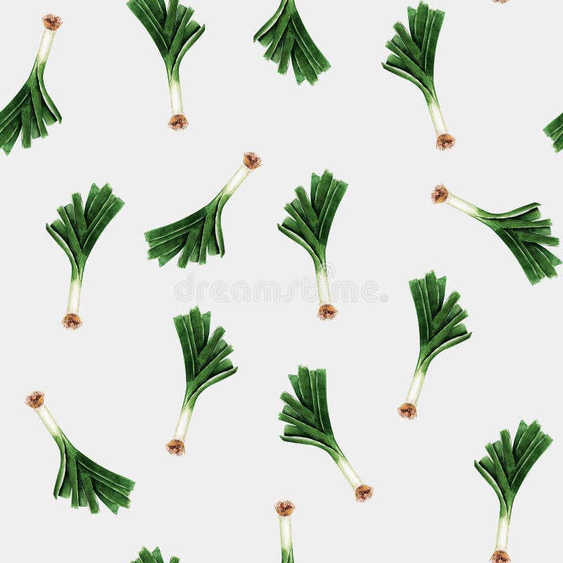 Greenery Leek Watercolor Seamless Pattern Stock Illustration ...
