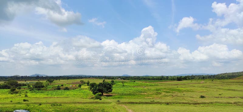 Greenery in the Monsoon stock photo. Image of rainyday - 233726062