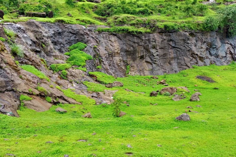 Greenery in monsoon season stock photo. Image of plateau - 190522752