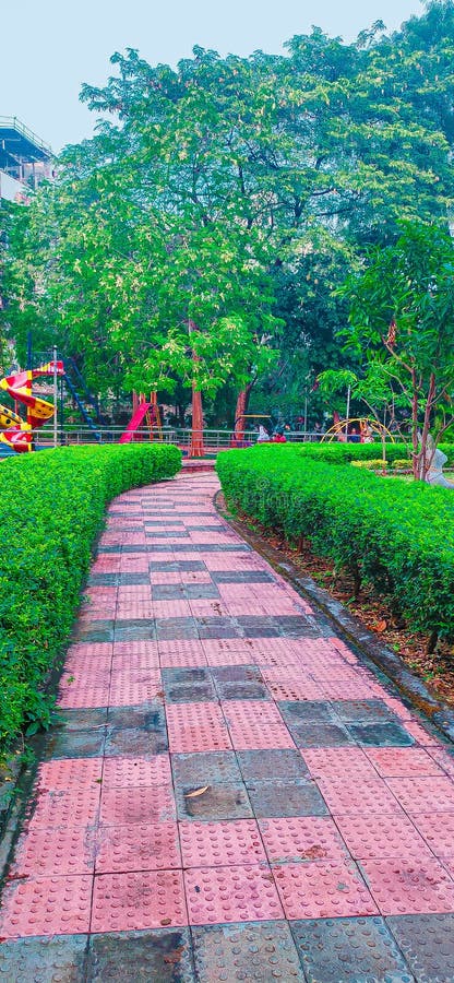 Greenery in Park with Designer Floor and Play Ground Stock Photo ...