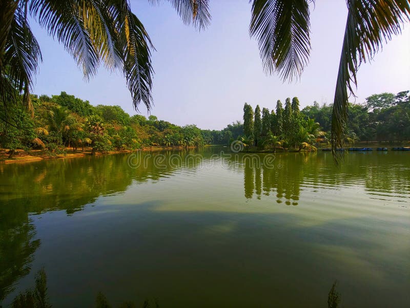 Greenery Scenario and Green Water Stock Photo - Image of water ...