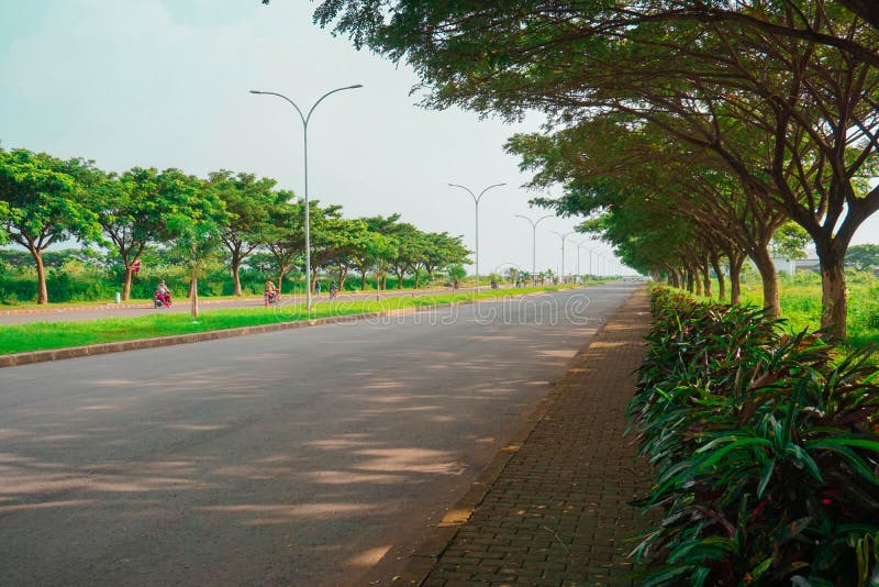 Greenery Planted on the Shoulder of the Road To Beautify the Road Stock ...