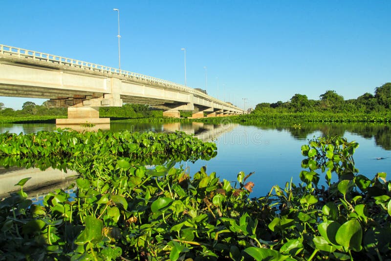 Greenery on River Bank and Long Bridge Stock Photo - Image of preserve ...
