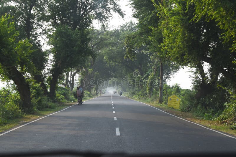 Greenery Road stock image. Image of tree, beautiful - 286894335