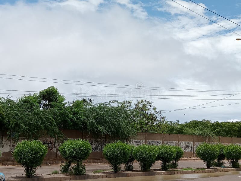 Greenery in Road after Rain in Karachi Pakistan Stock Image - Image of ...