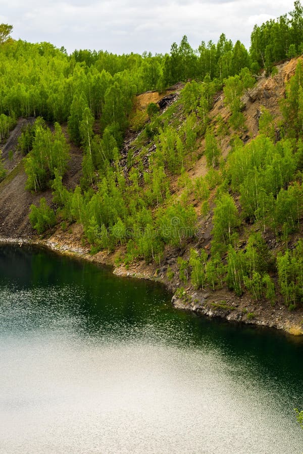 Greenery Scene trees stock image. Image of trees, garden - 120588419