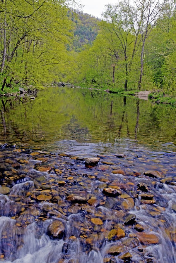 Greenery of Spring Along a Quiet River. Stock Image - Image of foliage ...