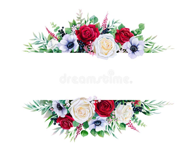 Red and White Rose, Branches Frame Border on White Background ...