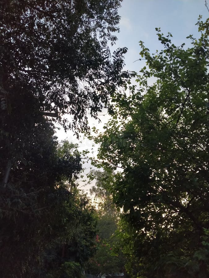 Greenery Sunset Looks Amazing Ho Wow Stock Image - Image of greenery ...