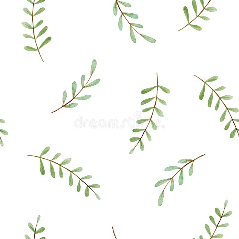 Greenery Twigs Watercolor Seamless Pattern Stock Illustration ...
