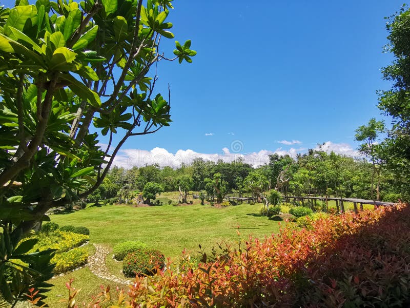 Greenery View and Big Blue Sky in Thailand Stock Image - Image of ...