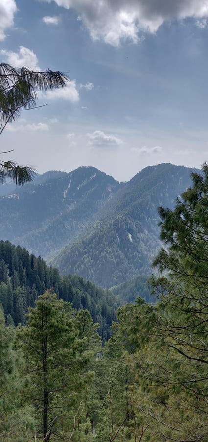 Greenery View at Hill Station Stock Image - Image of view, woodland ...