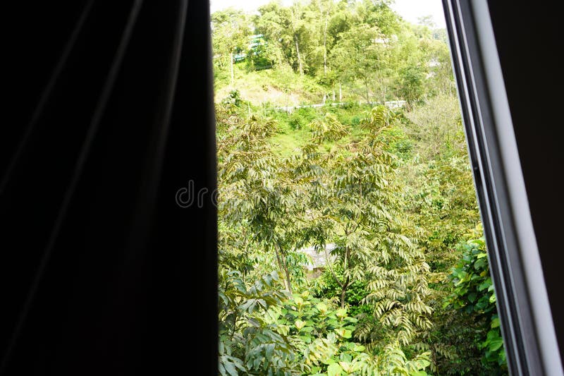 Greenery View from Hotel Window in Mountain of Sikkim Stock Photo ...