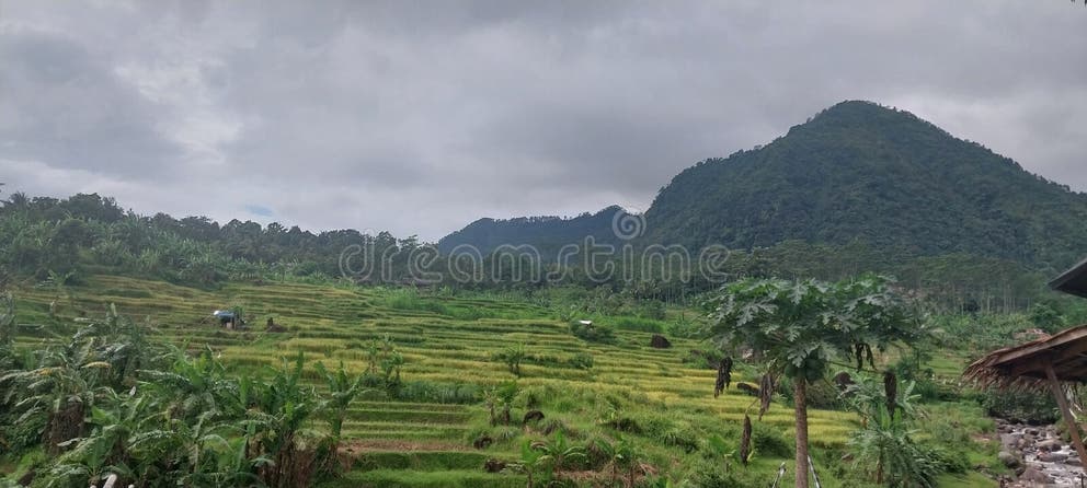 Greenery with Views of Mountains and Rivers Stock Image - Image of ...