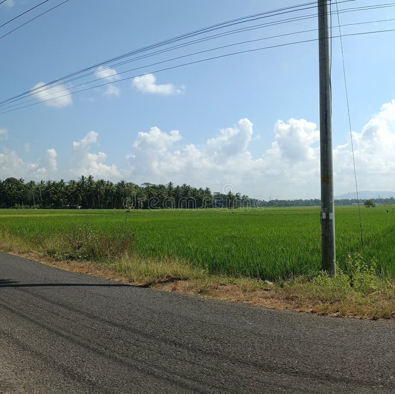 Greenfield Roadside Stock Photos - Free & Royalty-Free Stock Photos ...