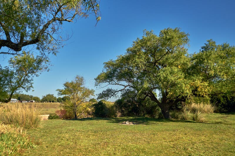 Greenfield and Trees Under the Blue Sky Stock Photo - Image of tree ...