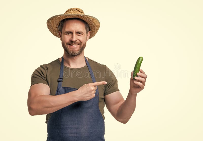 Greengrocer in Apron and Hat with Cucumber Vegetable Isolated on White ...