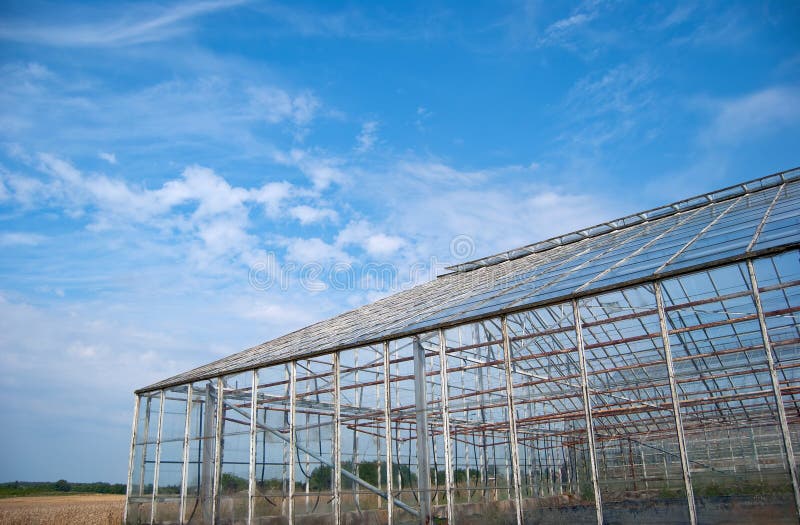 Greenhouse stock image. Image of hothouse, interior, culture - 23389937