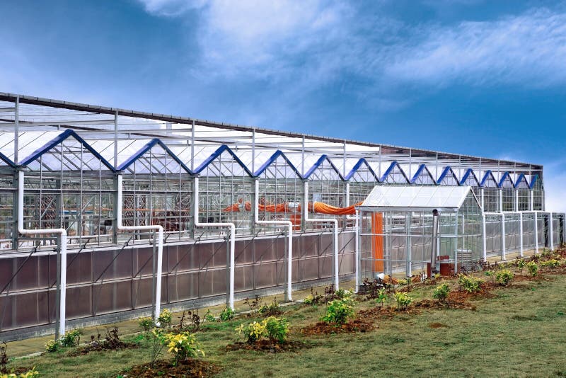 Greenhouse stock image. Image of hothouse, interior, culture - 23389937