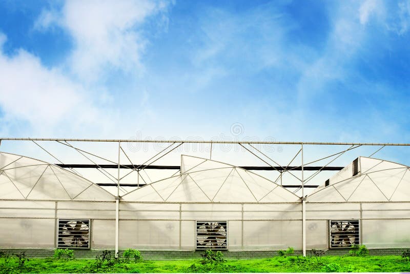 Greenhouse stock image. Image of hothouse, interior, culture - 23389937