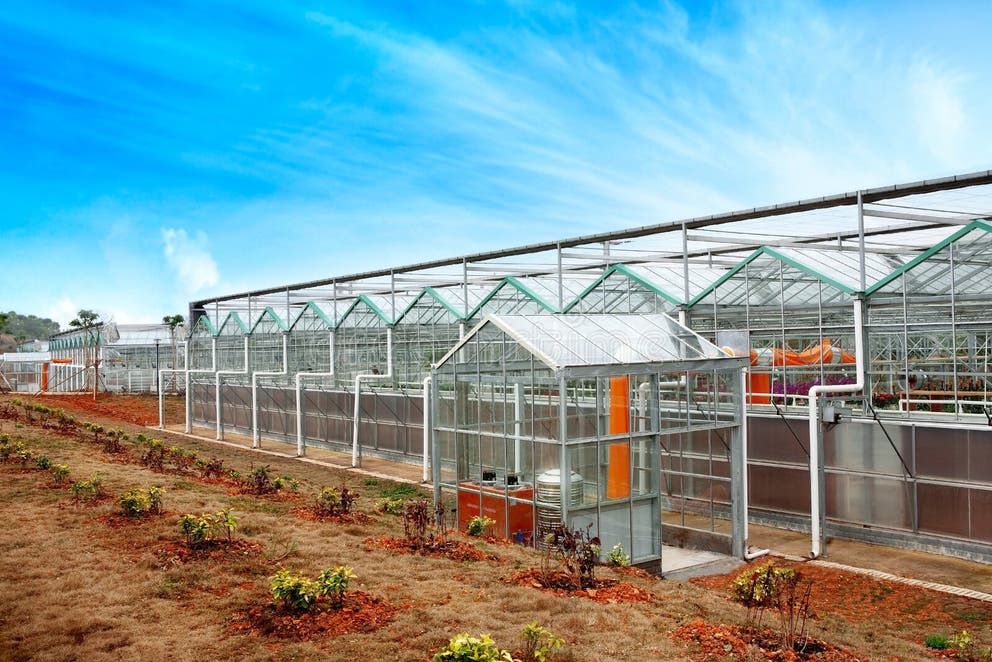 Greenhouse stock image. Image of hothouse, interior, culture - 23389937