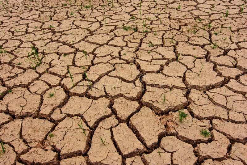 Deviation of the Dry Season until the Land Cracked. Stock Image - Image ...