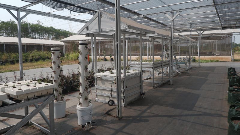 Hydroponic System for Plant Cultivation in Summer Stock Image - Image ...