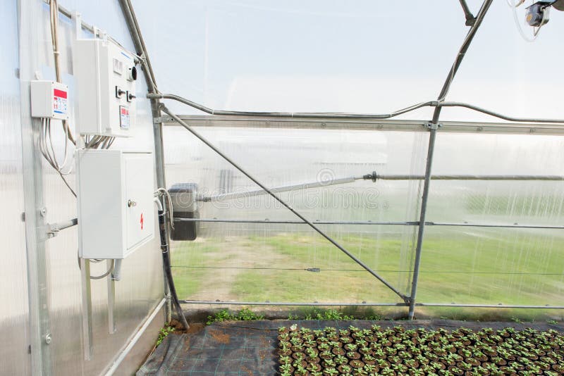 Greenhouse with Microclimate Control. Stock Photo - Image of modern ...