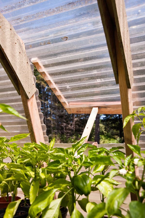 Greenhouse stock image. Image of structure, corrugated - 82841451