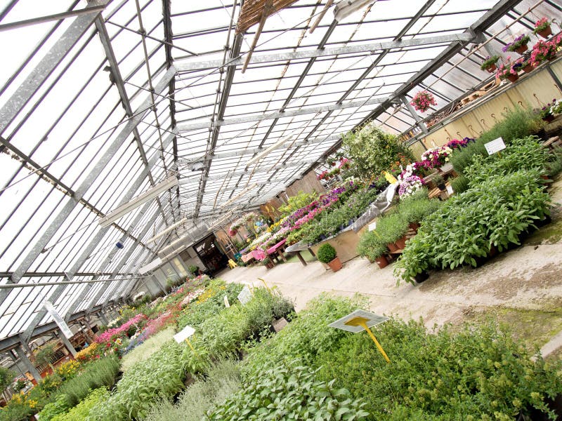 Greenhouse with Plants View from Different Angle Stock Image - Image of ...