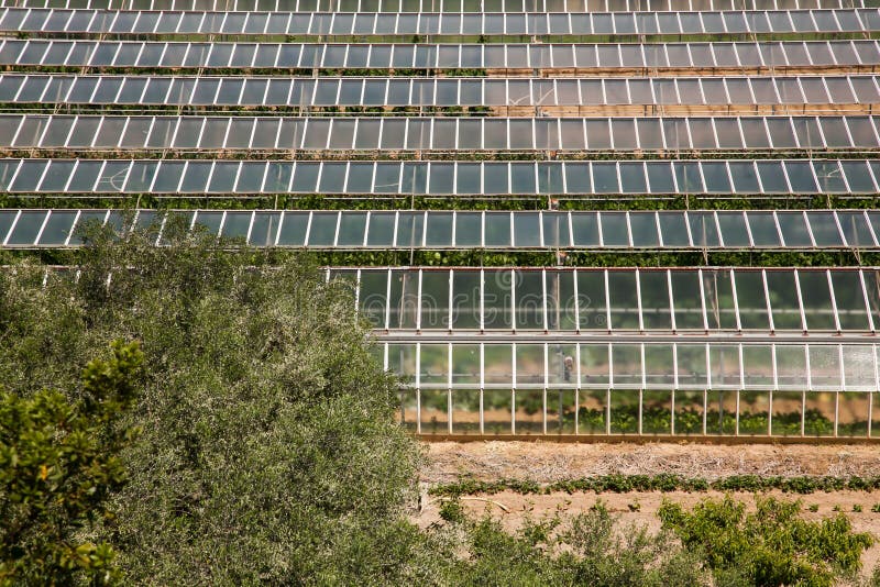 Greenhouse Seen from Above, External View Stock Photo - Image of ...