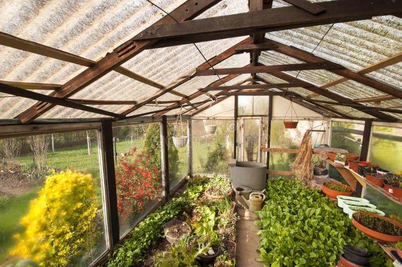 Greenhouse stock photo. Image of indoor, sprinkler, hemisphere - 44280662