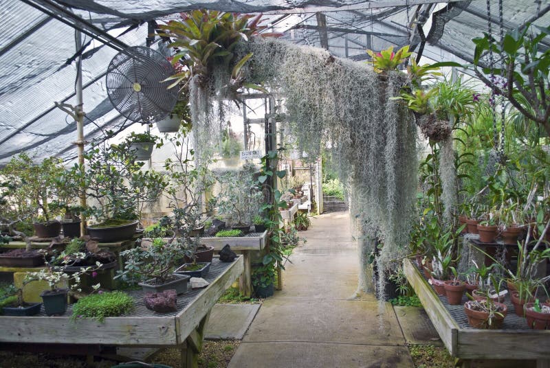 Greenhouse View stock image. Image of house, environment - 23657315