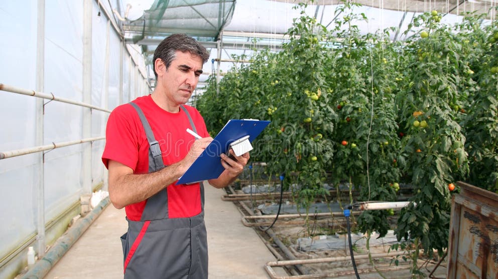 Greenhouse Worker stock image. Image of farming, activity - 25844425