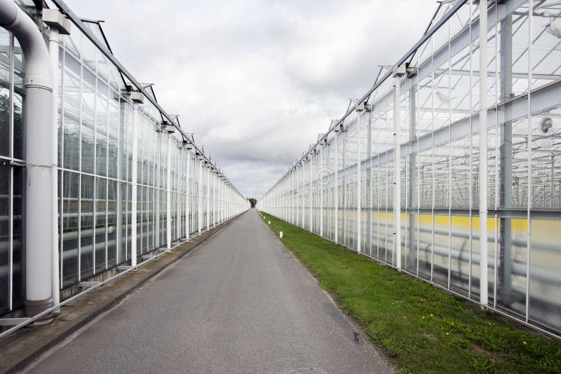 Greenhouses in the Netherlands Stock Image - Image of cultivation ...
