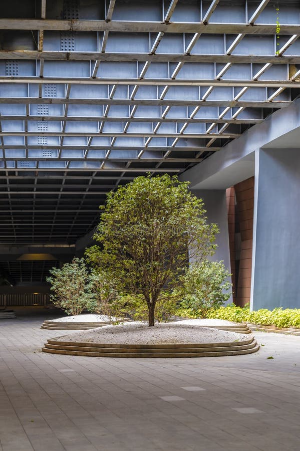 Greening Design Inside the Building Stock Image - Image of courtyard ...