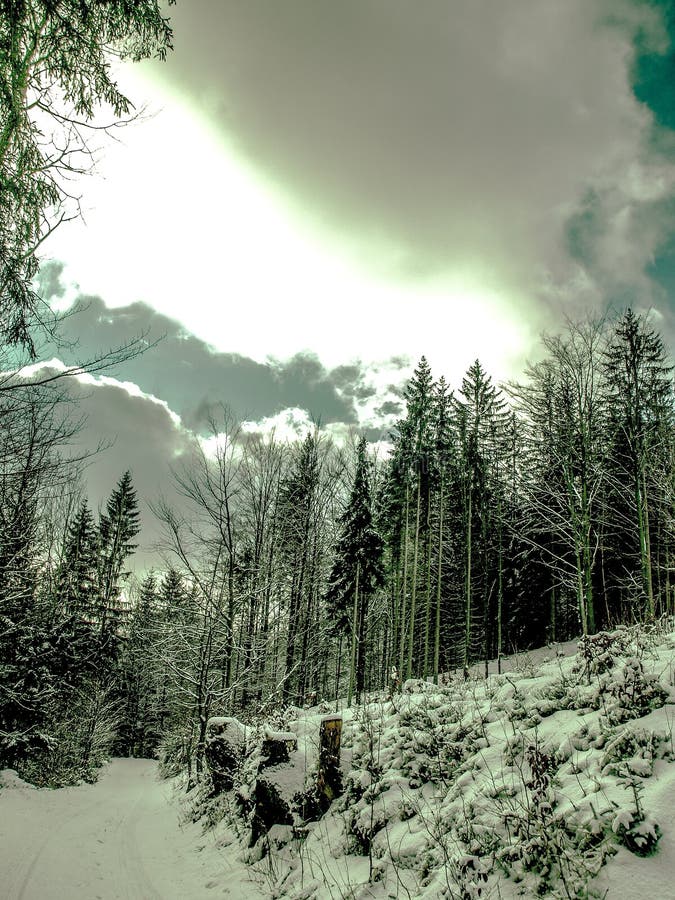 Greenish landscape tone 3 stock photo. Image of plain - 192690090