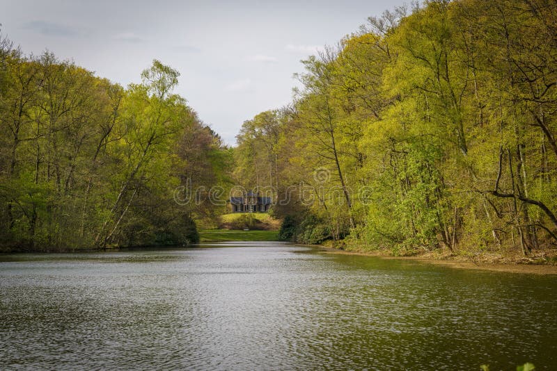 A Greenish River in the Middle of a Green Forest Full of Trees Stock ...