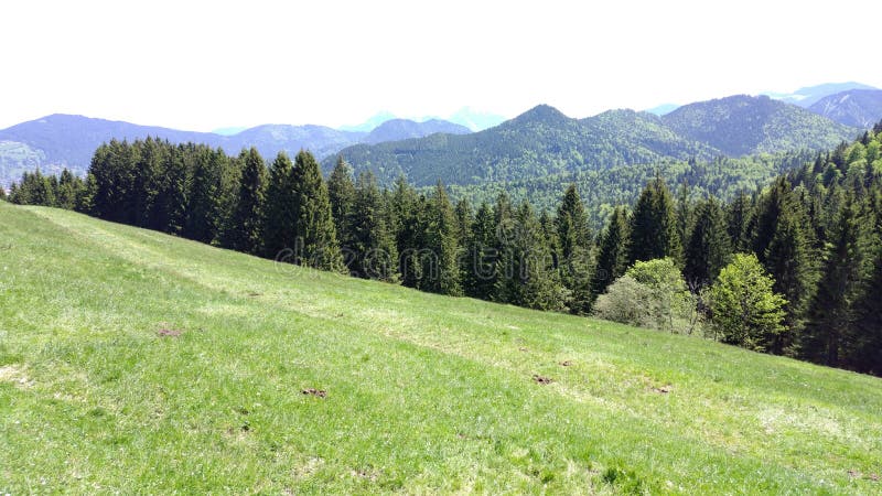 Greenland stock photo. Image of grassland, grass, alps - 95642918