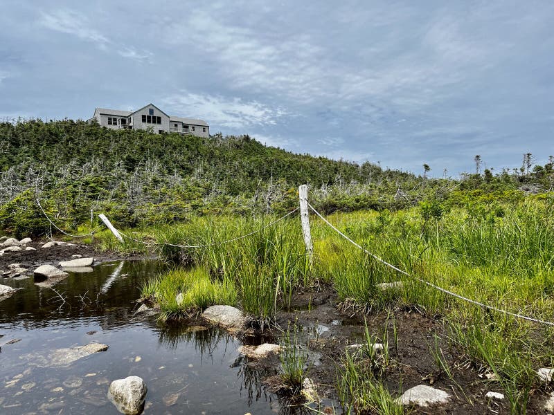 Greenleaf Hut stock image. Image of wetland, pond, tree - 252472943