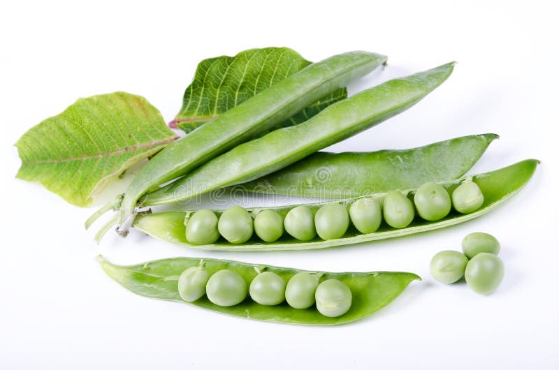 Pea Pod stock image. Image of sugar, snap, legume, healthy - 5556351