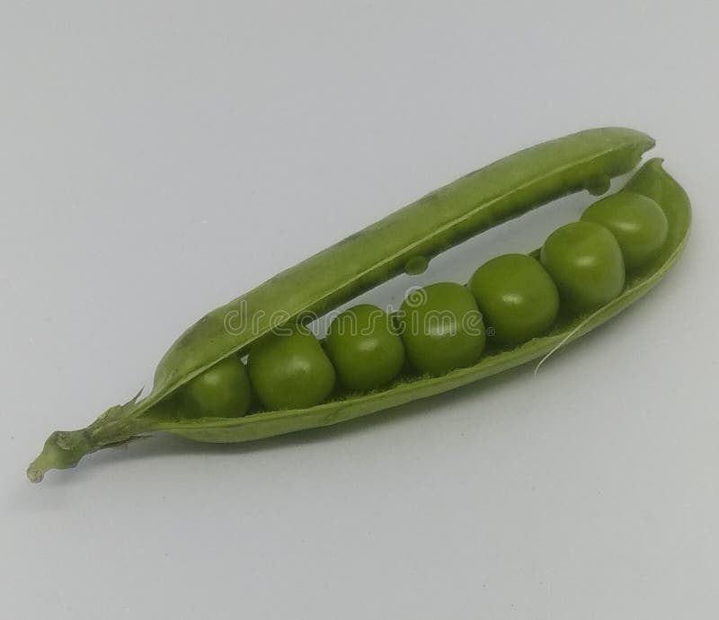 Greenpeace shells and peas stock photo. Image of healthy - 167963338