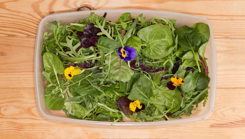 Greens with Edible Flowers in Plastic Container on Rustic Table Stock ...