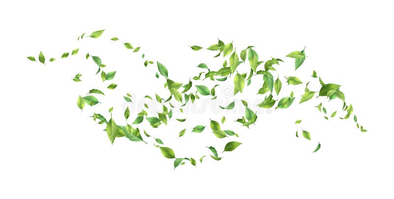 Greens Leaf Whirling in the Wind Stock Vector - Illustration of green ...