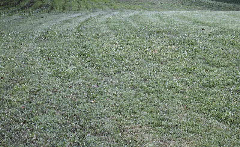 Lawn, Greensward, Grass, Sward Turf, Living, Garden, Outdoor, Park ...