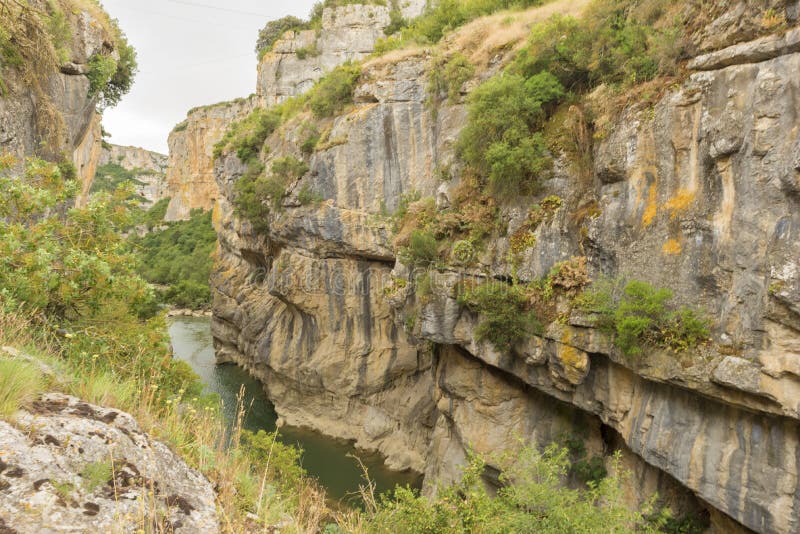 Greenway of irati stock image. Image of river, water - 99383727