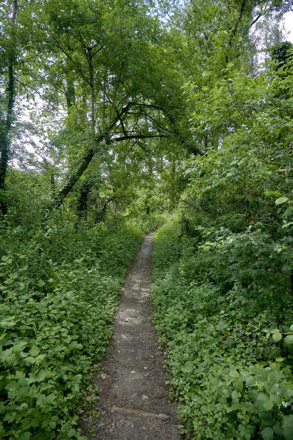 Greenway stock photo. Image of nature, path, cycle, touristic - 218686334