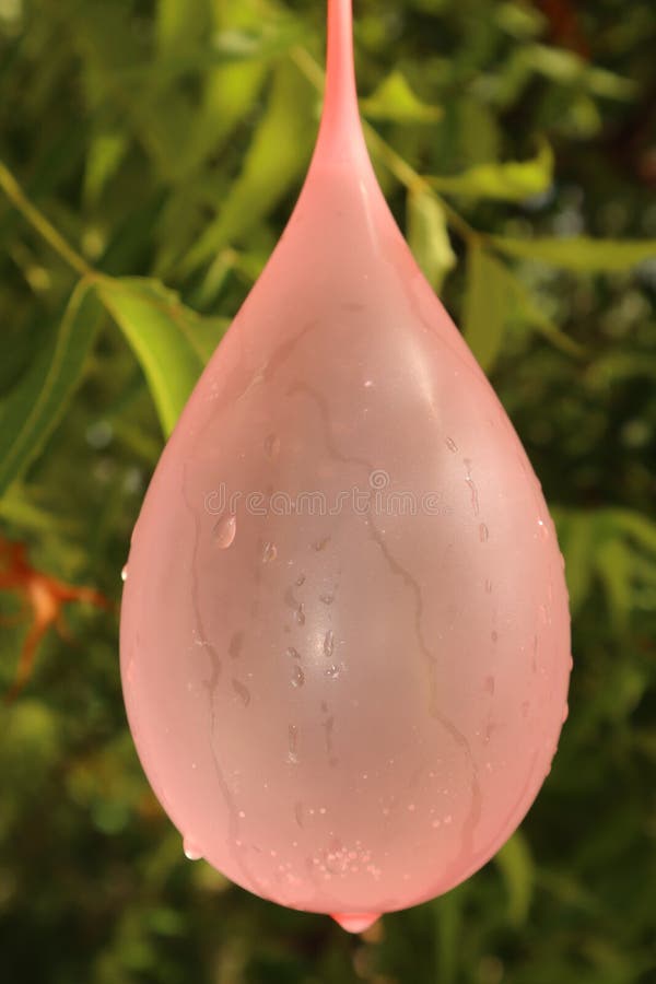 A Greeny Nature with Water Filled Balloon Stock Image - Image of greeny ...