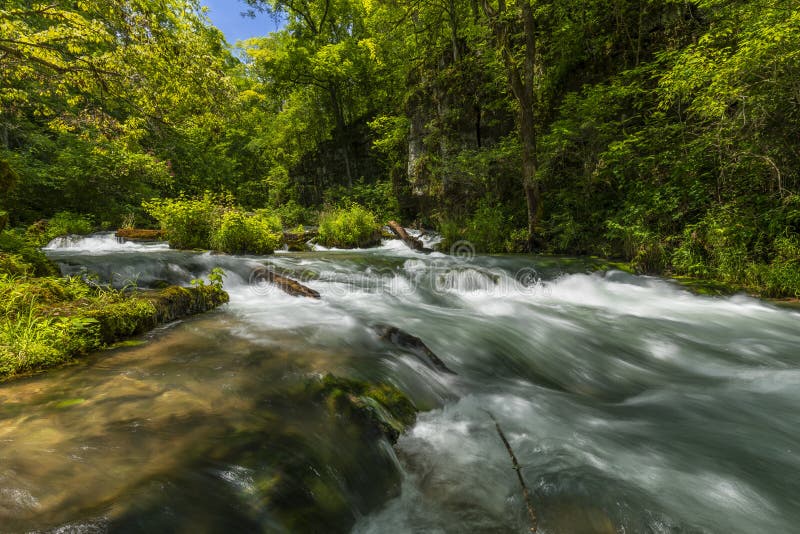 Greer Spring Branch River stock image. Image of creek - 193106173