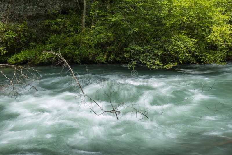 Greer Spring stock photo. Image of park, beautiful, greer - 193106104